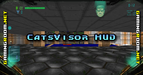 CatsVisor HUD