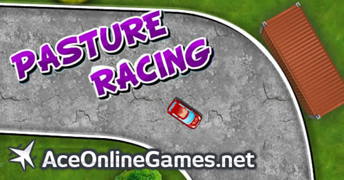 Pasture Racing » VaLeW