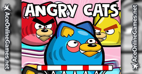 Angry Cats | AceOnlineGames.net